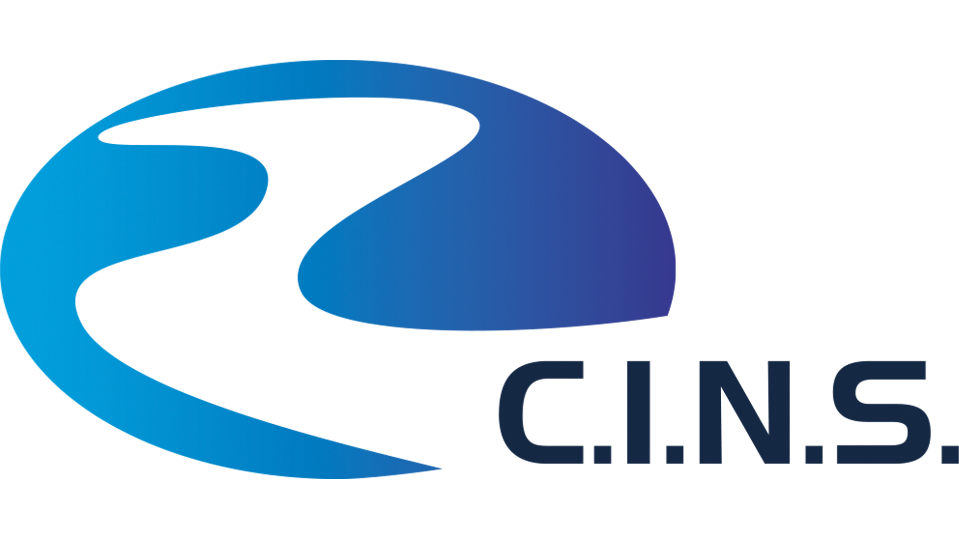 CINS – Soluciones integrales para mejorar tu bienestar y calidad de vida.
